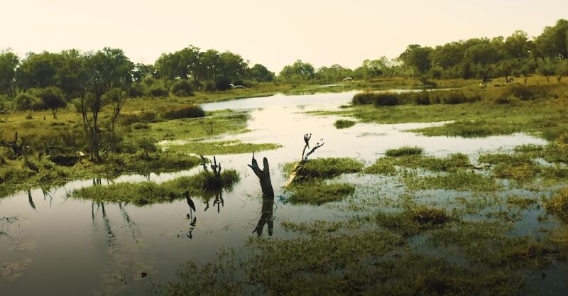 Botswana Weather by Month - When to Go for the Best Experience ...