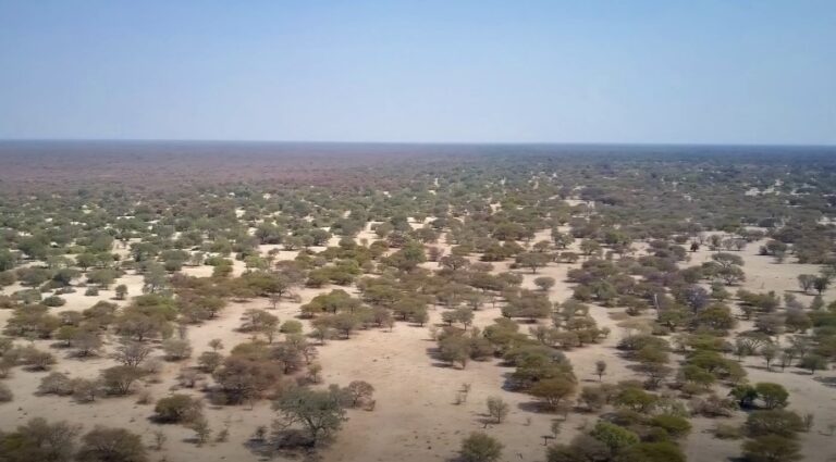 Botswana Weather by Month - When to Go for the Best Experience ...