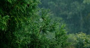 Botswana Weather by Month - When to Go for the Best Experience ...