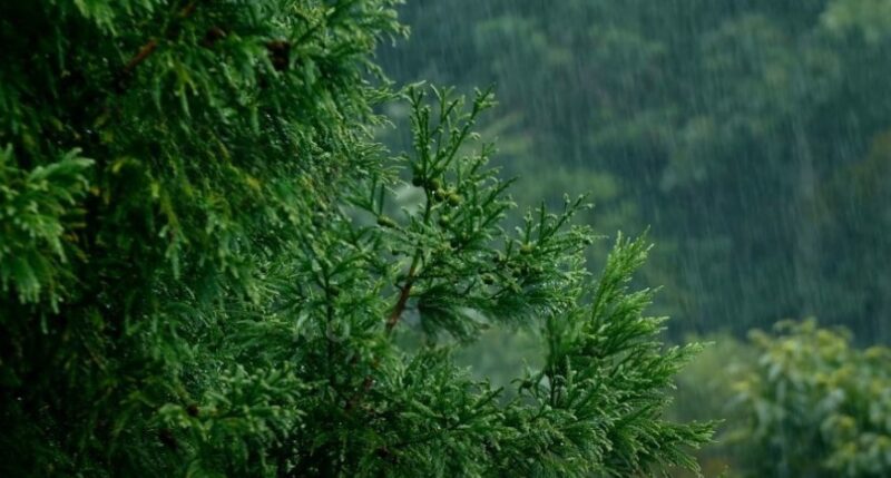 Botswana Weather by Month - When to Go for the Best Experience ...