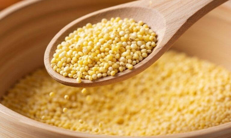 Millet, Sorghum, and the Spirituality of Ancient Grains - Cultures of ...