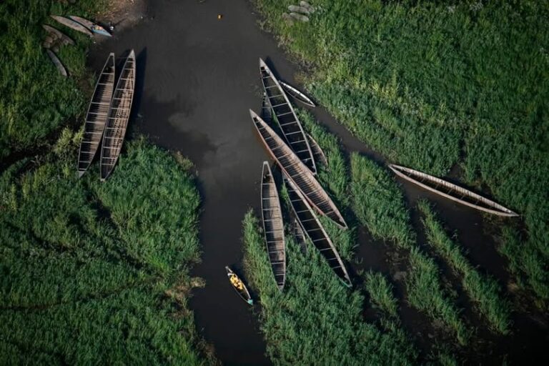 Exploring Lake Chad Basin - Travel, Culture, And Restoration Efforts ...