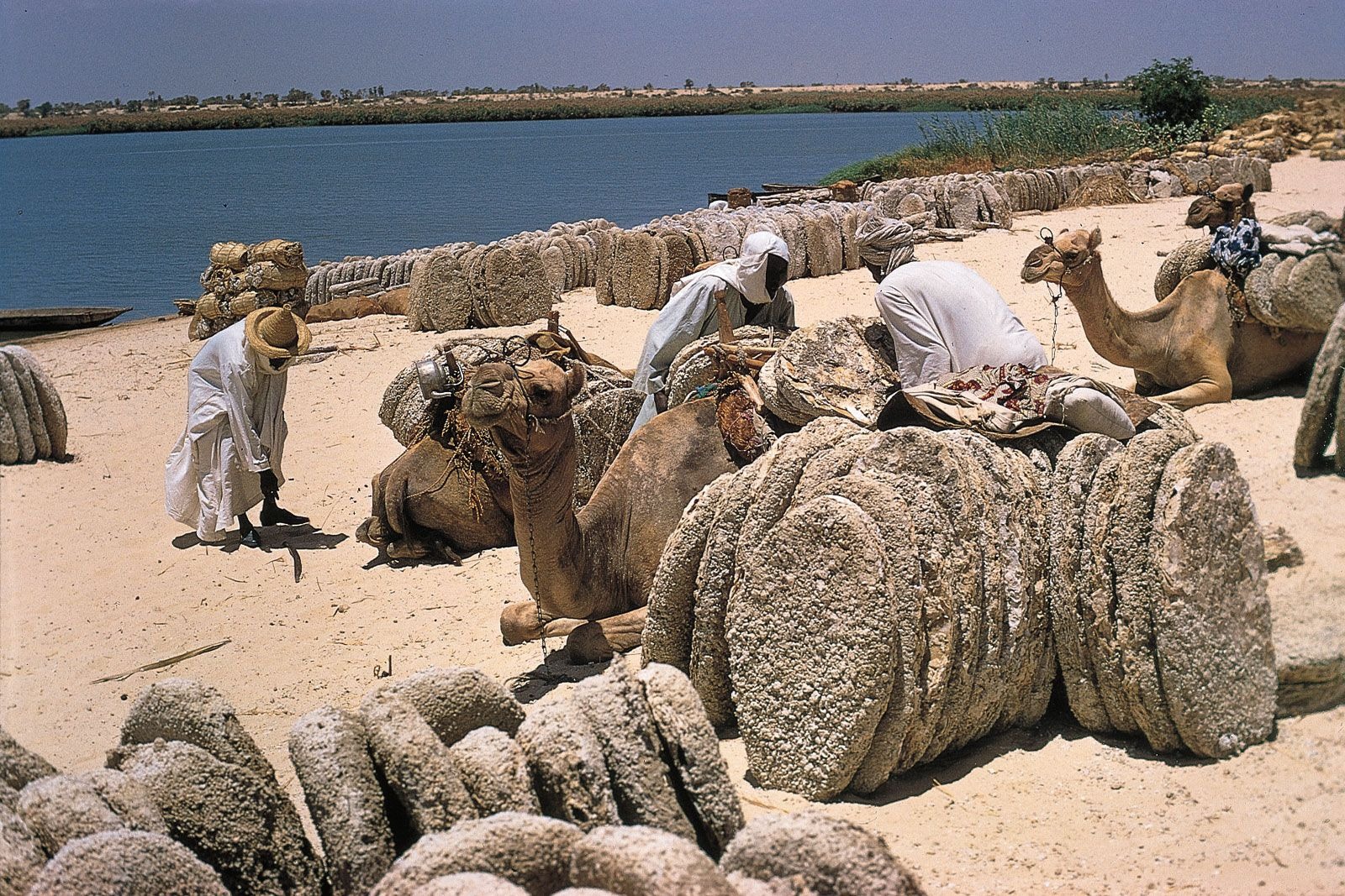 Exploring Lake Chad Basin - Travel, Culture, And Restoration Efforts ...